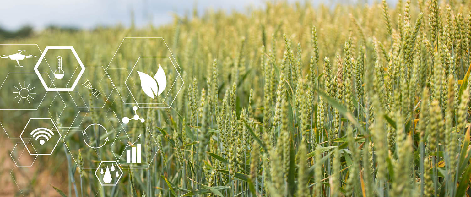 How Food Technology May Help Feed The World | GLG